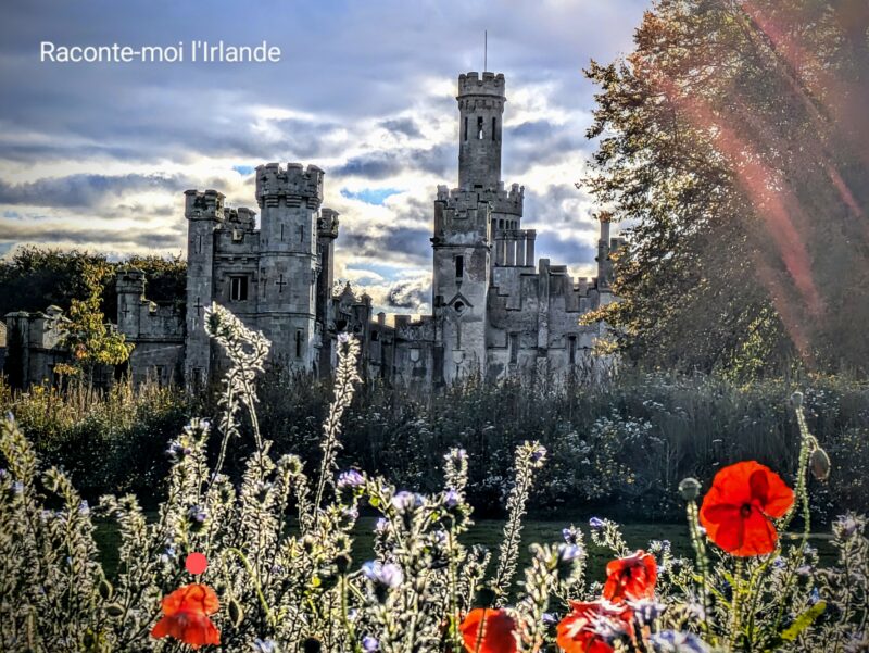 Duckett's Grove, cet intrigant manoir irlandais | Raconte-moi l'Irlande