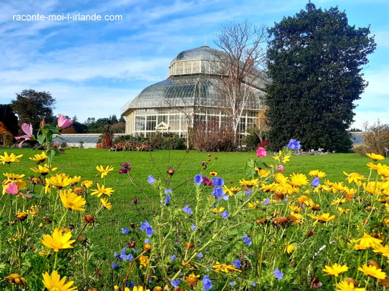 National Botanic Gardens de Dublin : magnifique parc de la capitale ...